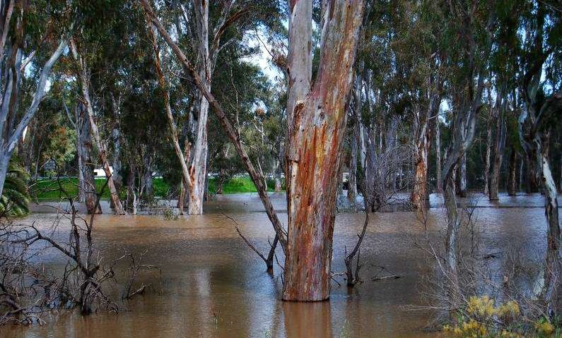 Flood - Greater Shepparton City Council