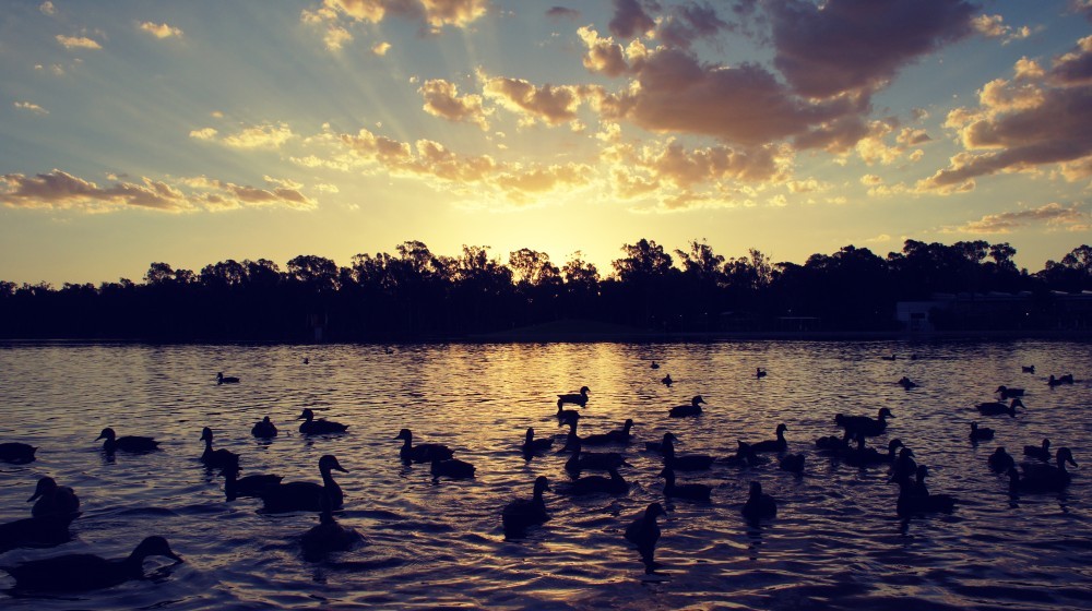 Sustainability and Environment - Greater Shepparton City Council