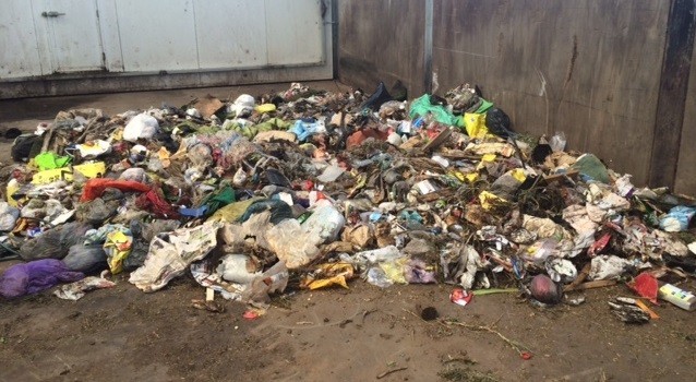 green bin contamination