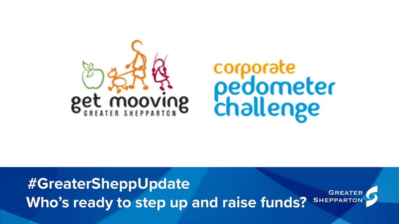Corporate Pedometer Challenge to improve health and raise funds ...