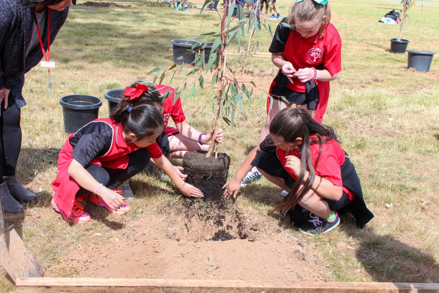 Students plant trees for their future - Greater Shepparton City Council