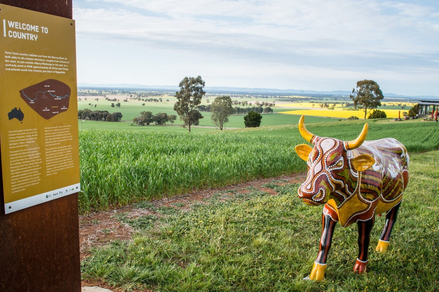 Indigenous cow joins the herd - Greater Shepparton City Council