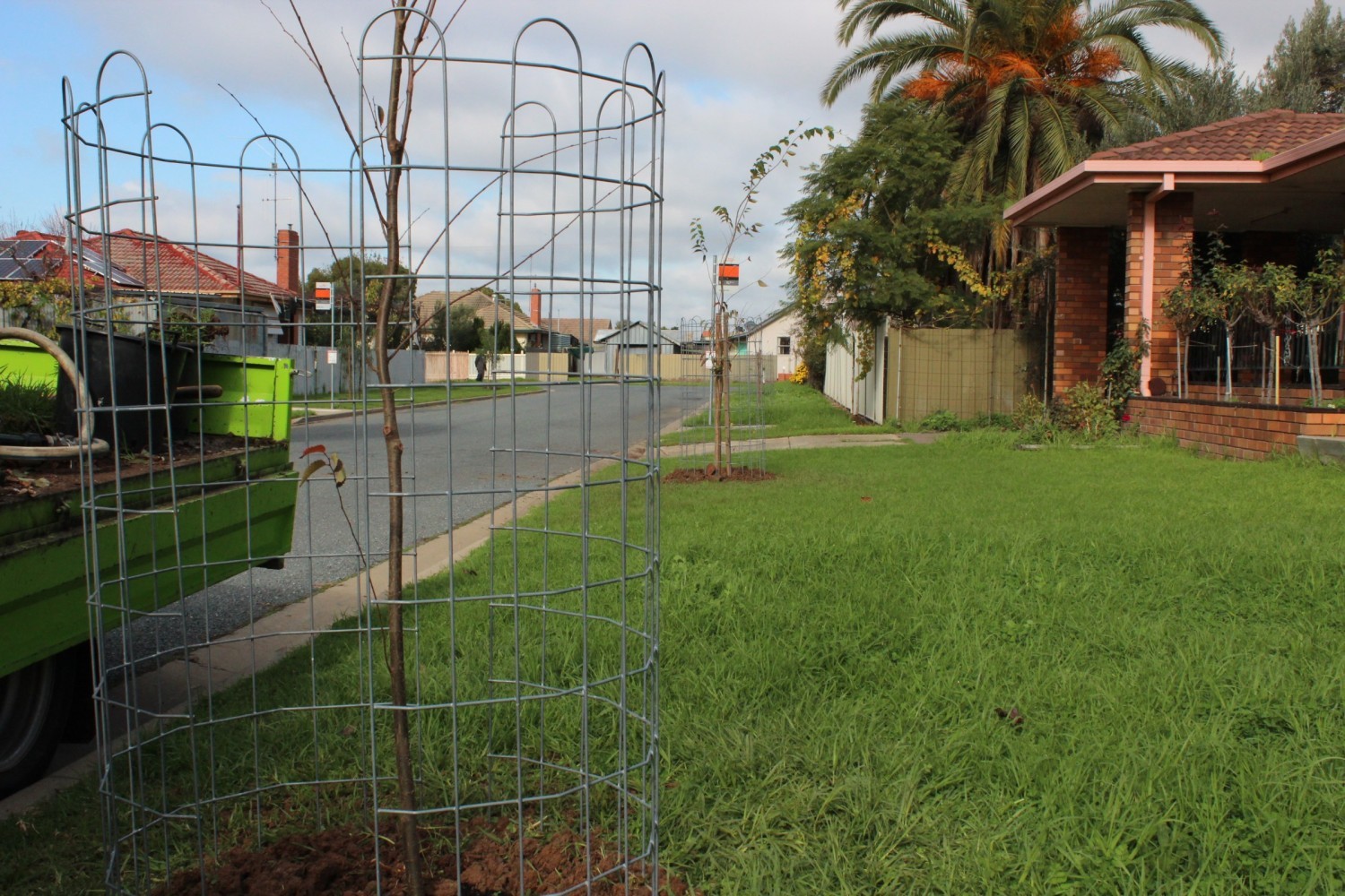 Street trees planting program underway - Greater Shepparton City Council