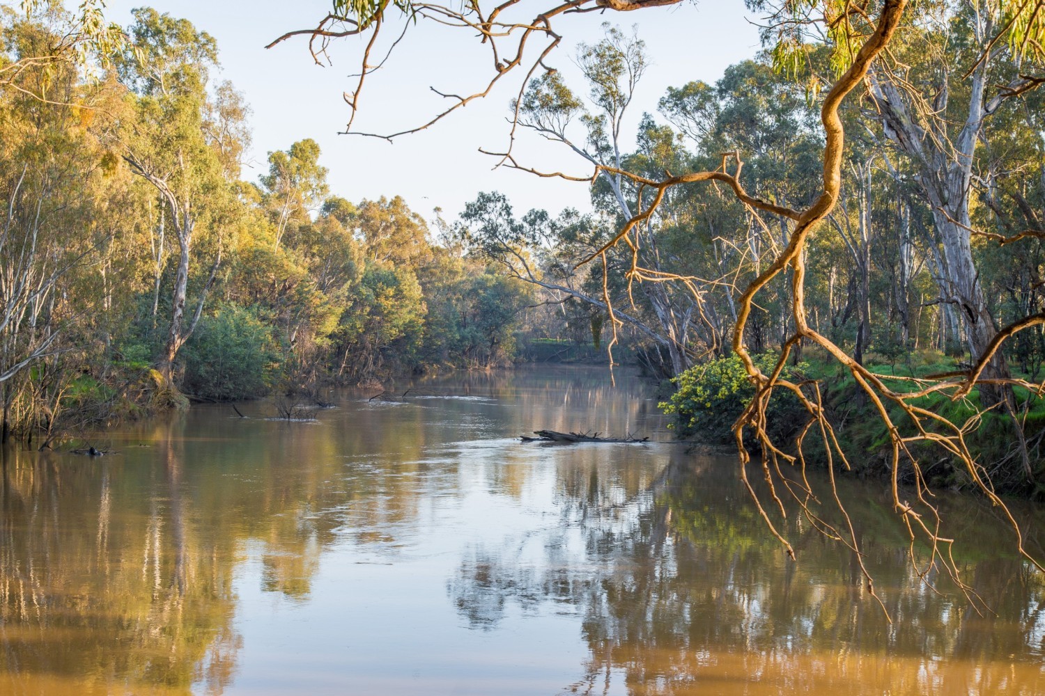 Invitation to Goulburn River community clean up - Greater Shepparton ...