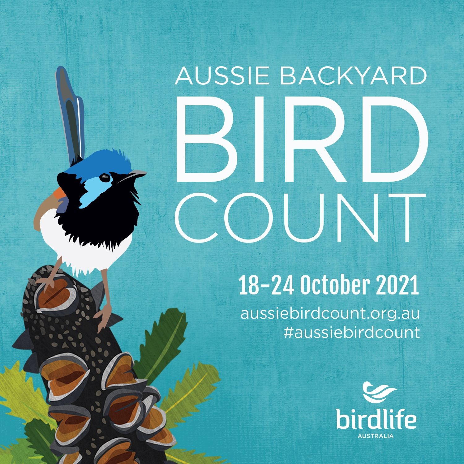 Locals are invited to take part in the Aussie Backyard Bird Count ...
