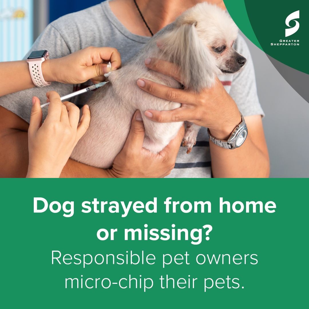 Make sure your pet gets home and free up Shelter space - Greater Shepparton City Council