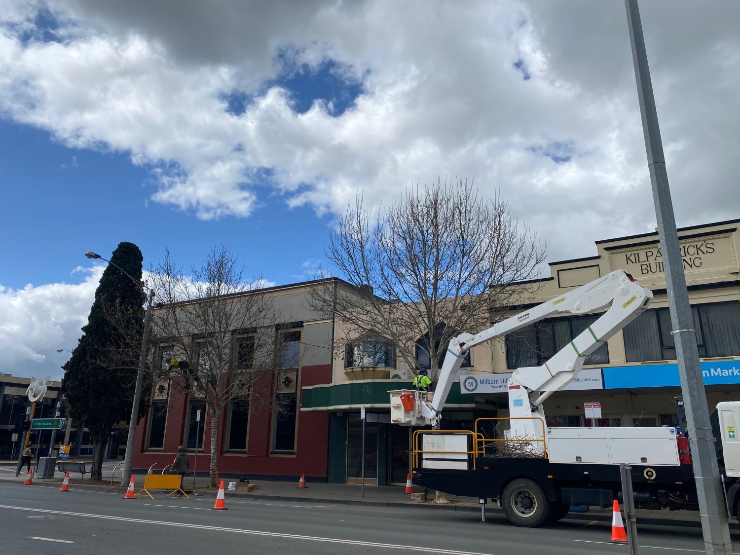 Tree maintenance on Council’s agenda - Greater Shepparton City Council