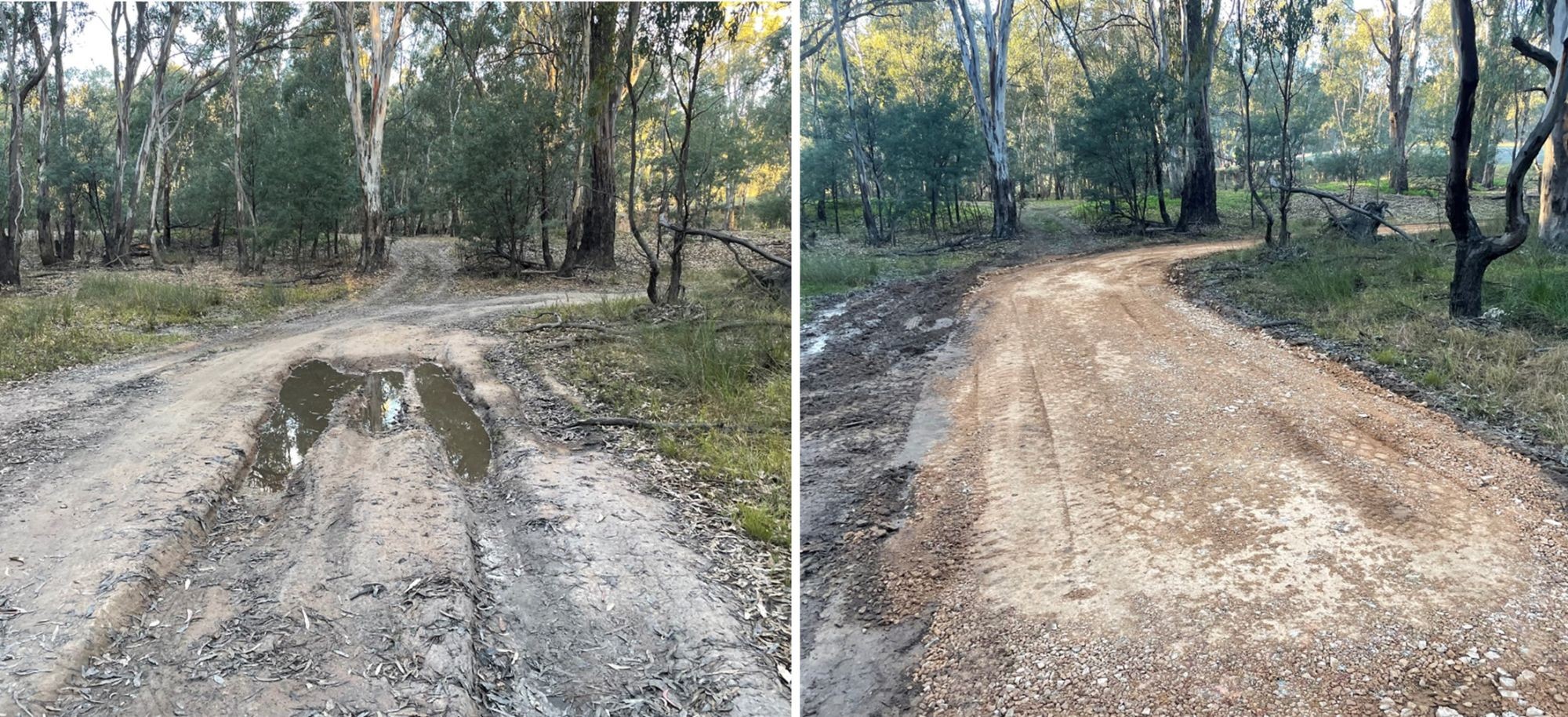 Mooroopna Sand Hills Restoration Work Concludes for Site Revival ...
