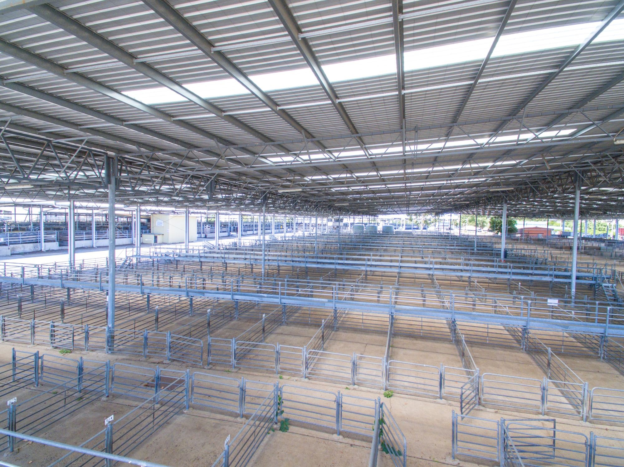 Shepparton Regional Saleyards operator announced - Greater Shepparton ...