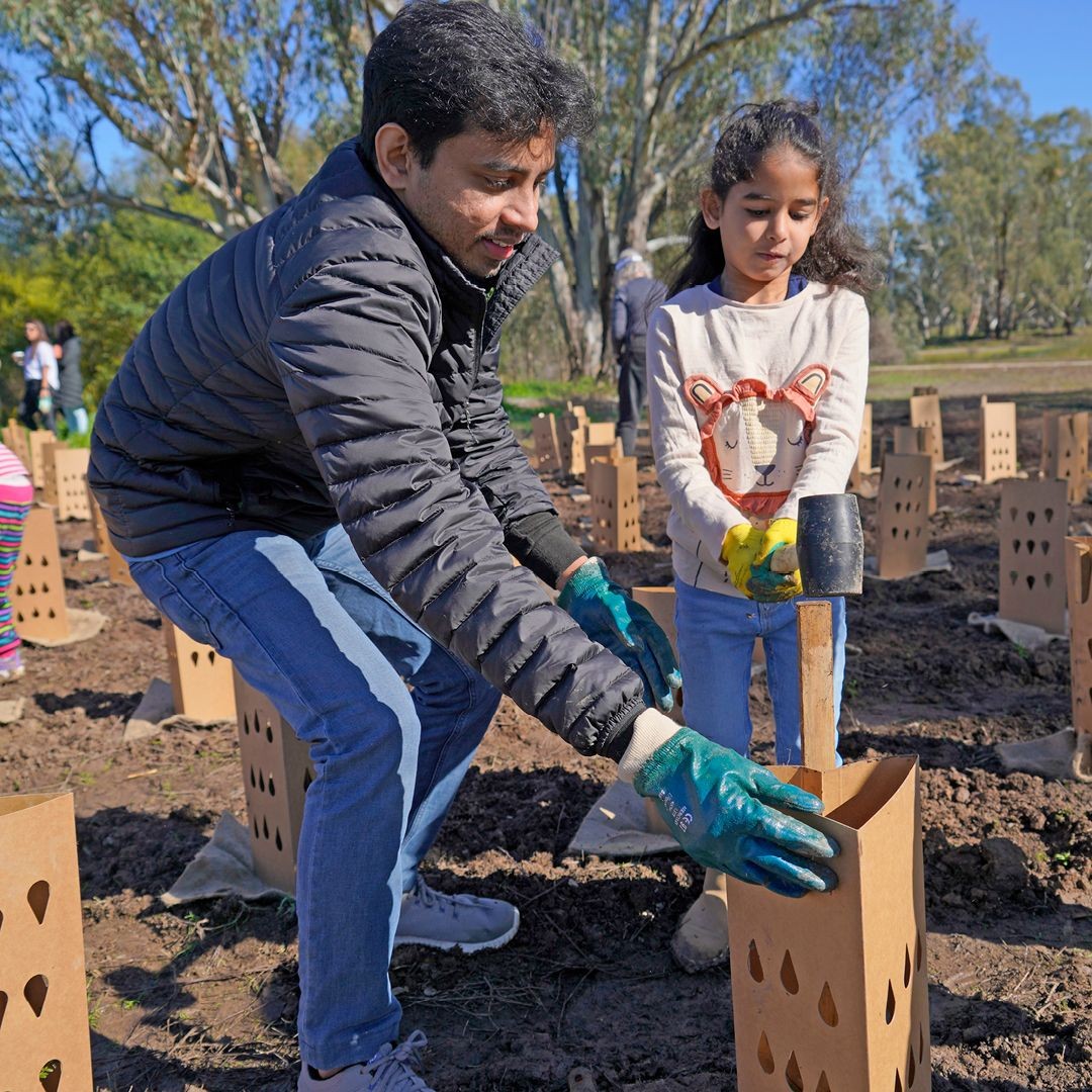Native plant give-aways, free BBQ and lots of fun at National Tree Day ...