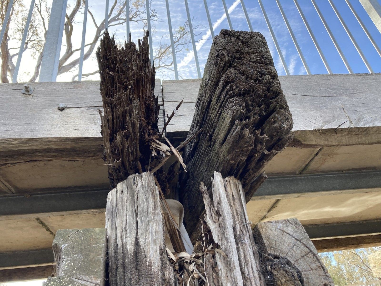 Murchison Rail Trail - Timber bridge renewal works complete! - Greater ...