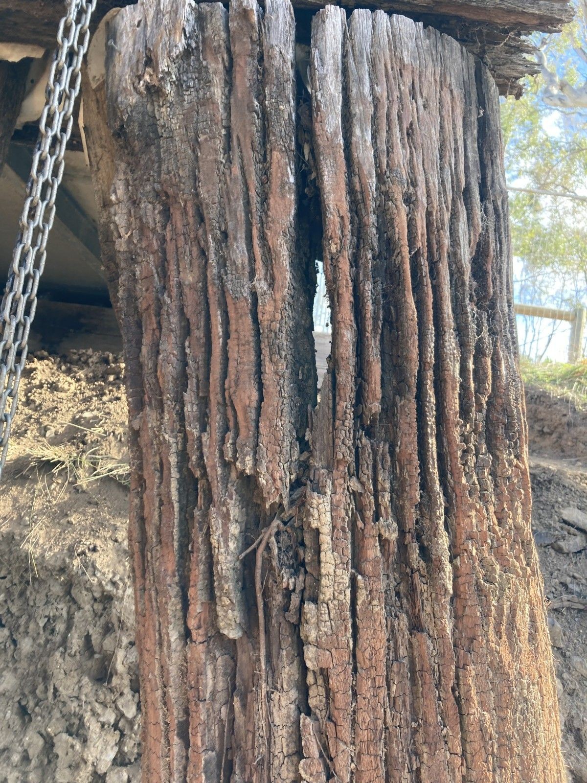 Murchison Rail Trail - Timber bridge renewal works complete! - Greater ...