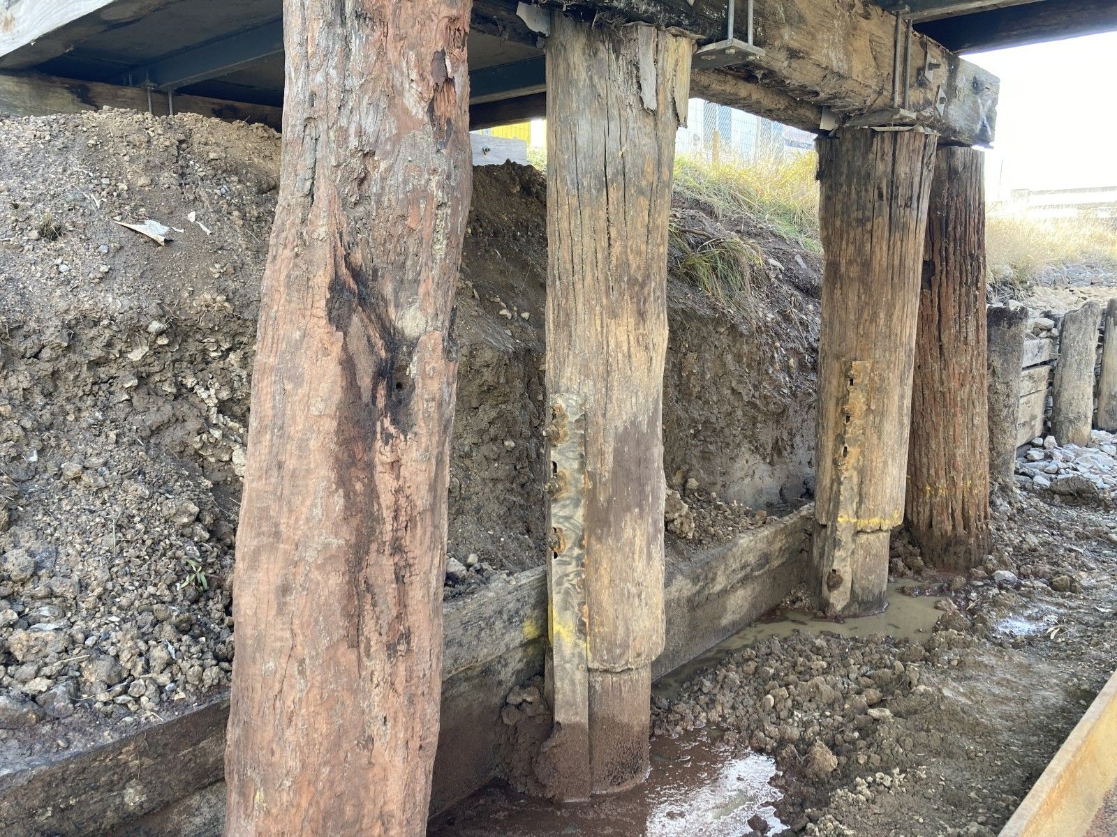 Murchison Rail Trail - Timber bridge renewal works complete! - Greater ...