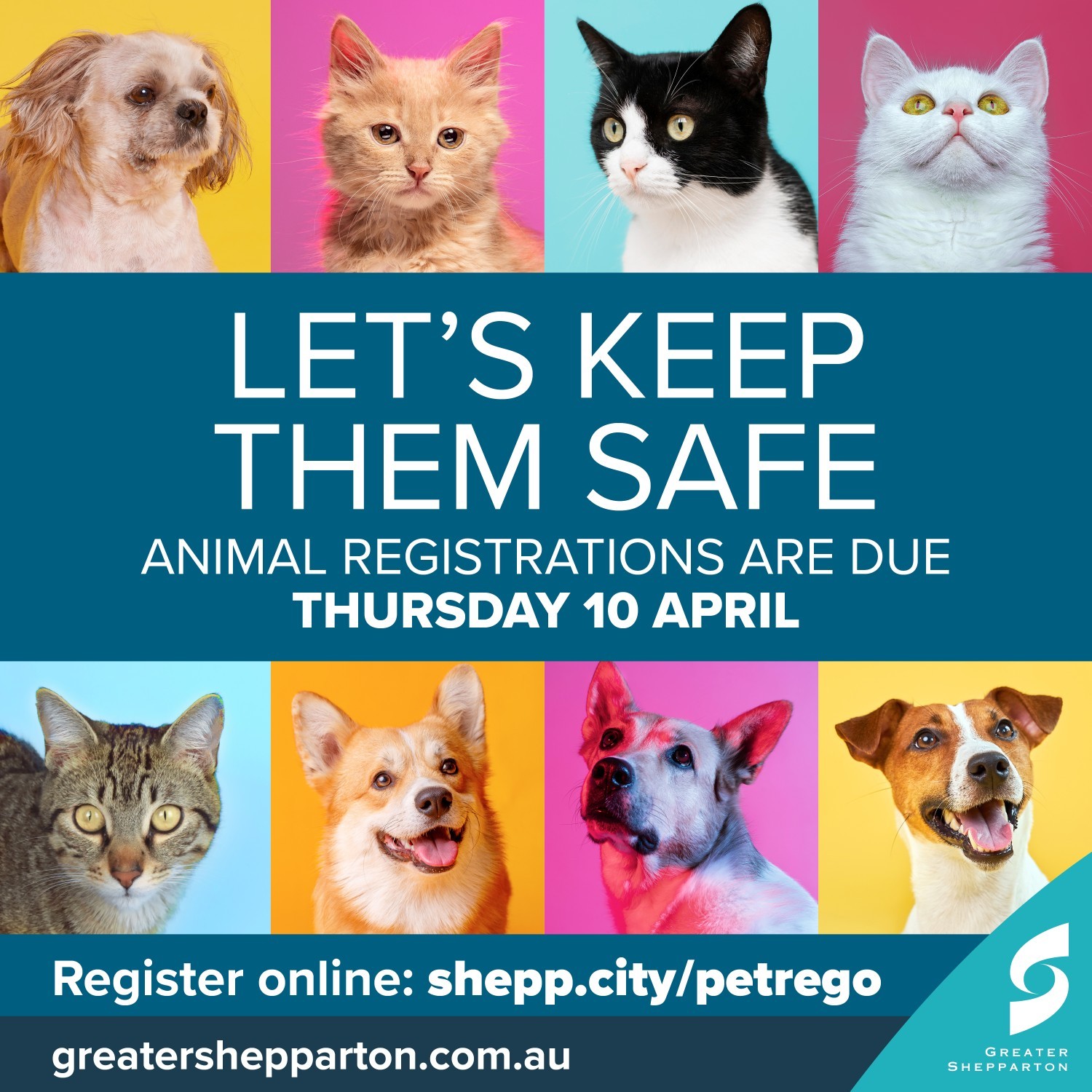 Remember to register your pets before 10 April - Greater Shepparton ...