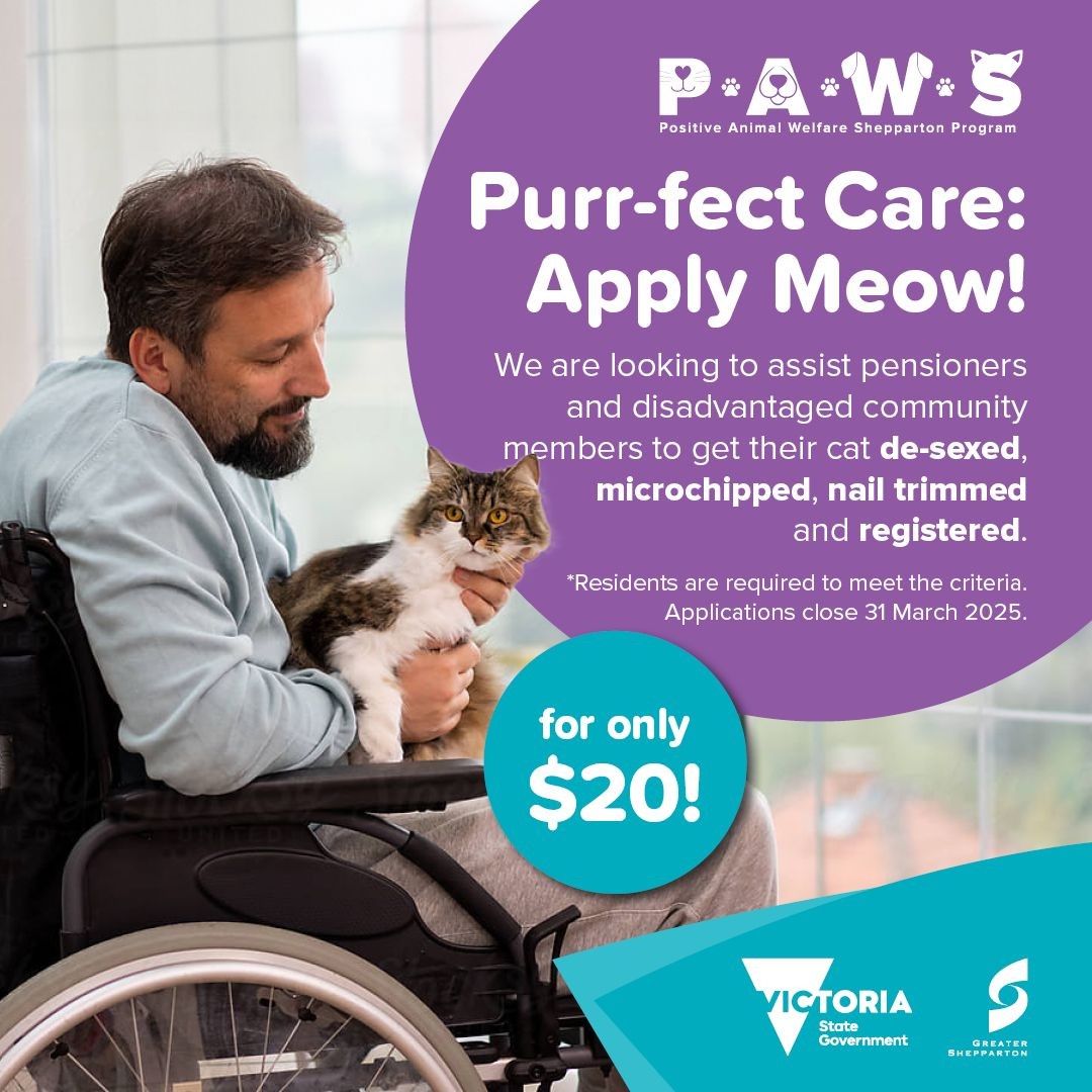 The PAWS Program helping vulnerable community members to de-sex ...