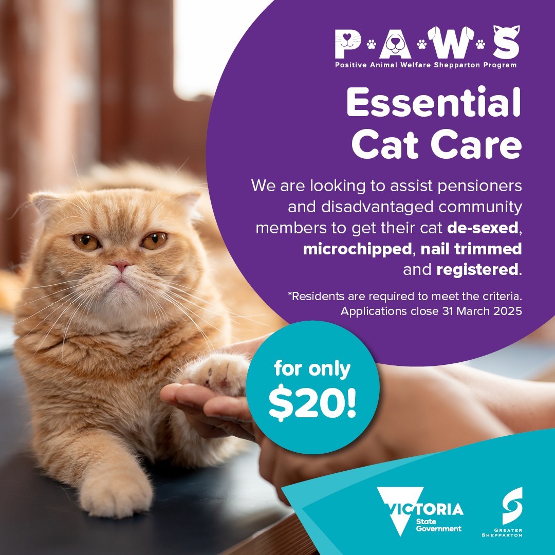 Last call to apply for the PAWS Program - Greater Shepparton City Council