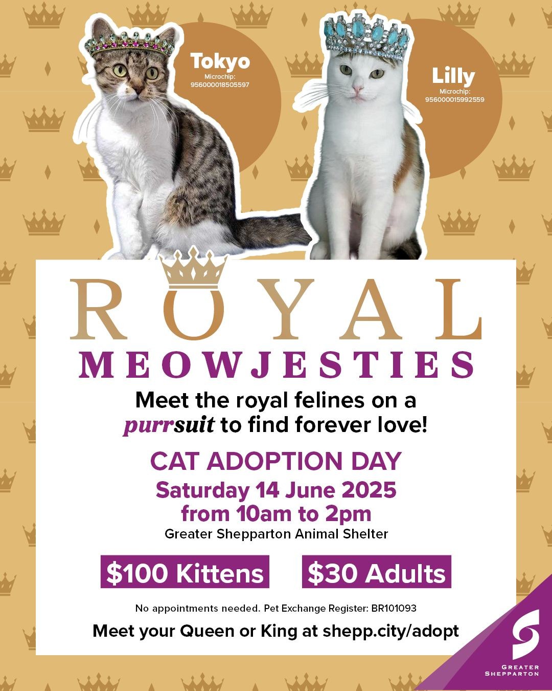 Meet the Queen or King of your heart at the Royal Cat Adoption Day ...