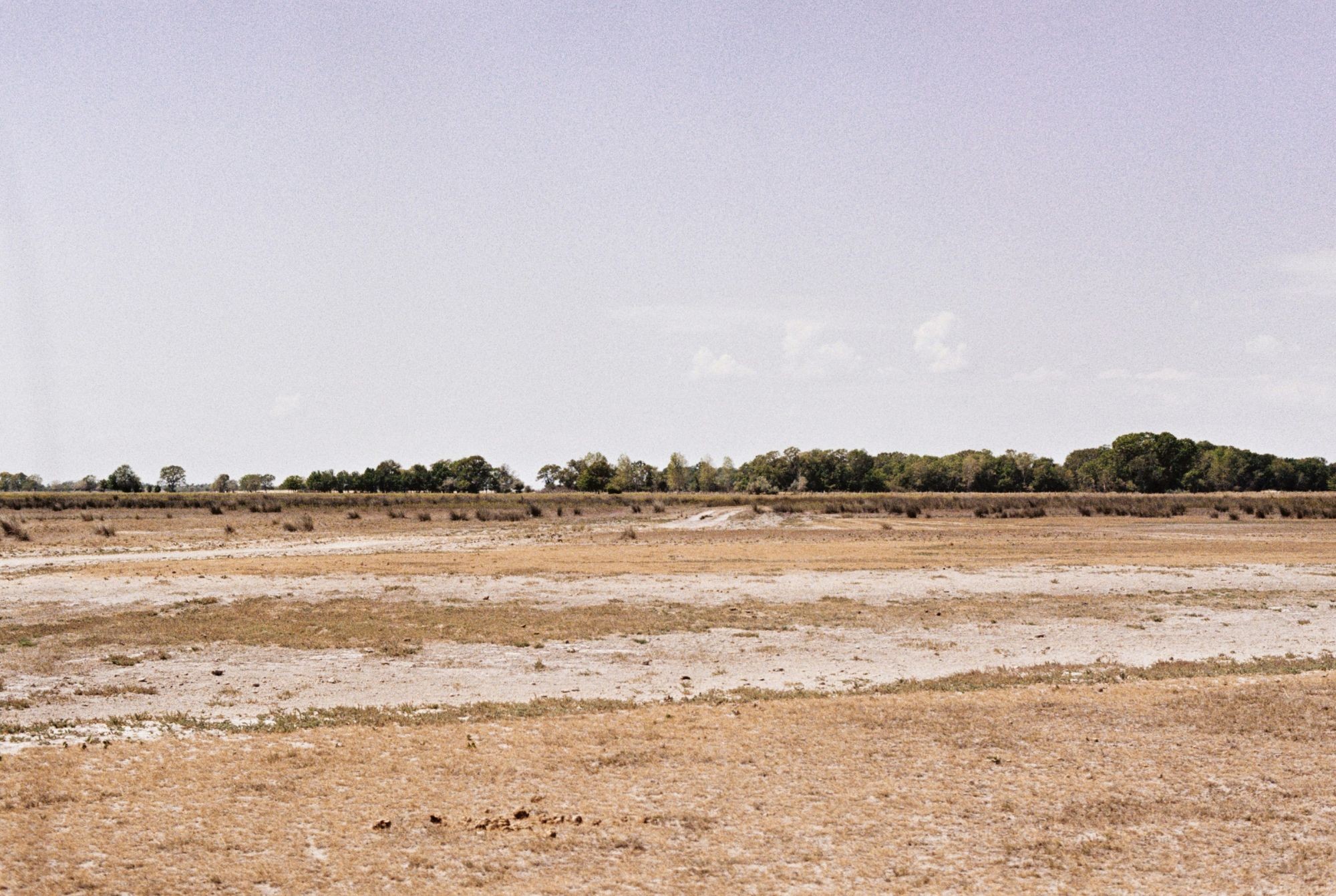 Mayor and RCV Chair, Cr Sali, appointed to Drought Taskforce - Greater ...
