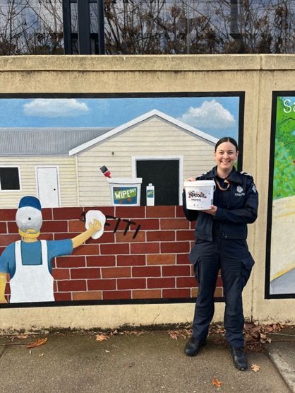 Free Graffiti removal kits available for Greater Shepparton residents ...