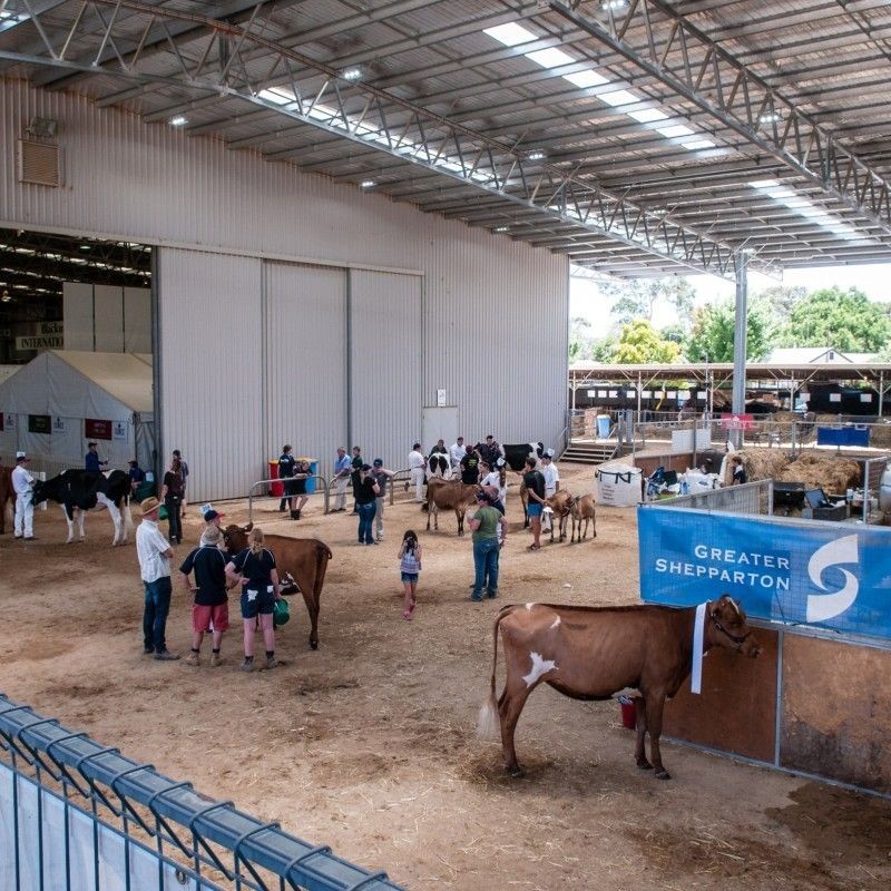 Dairy Week to Boost Region, Highlight Aussie Excellence | Mirage News