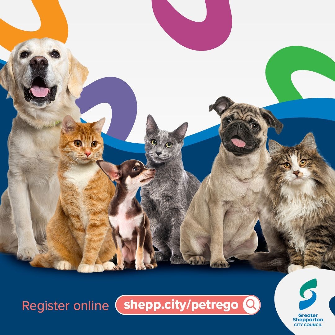 Animal registrations due Friday 10 April - Greater Shepparton City Council