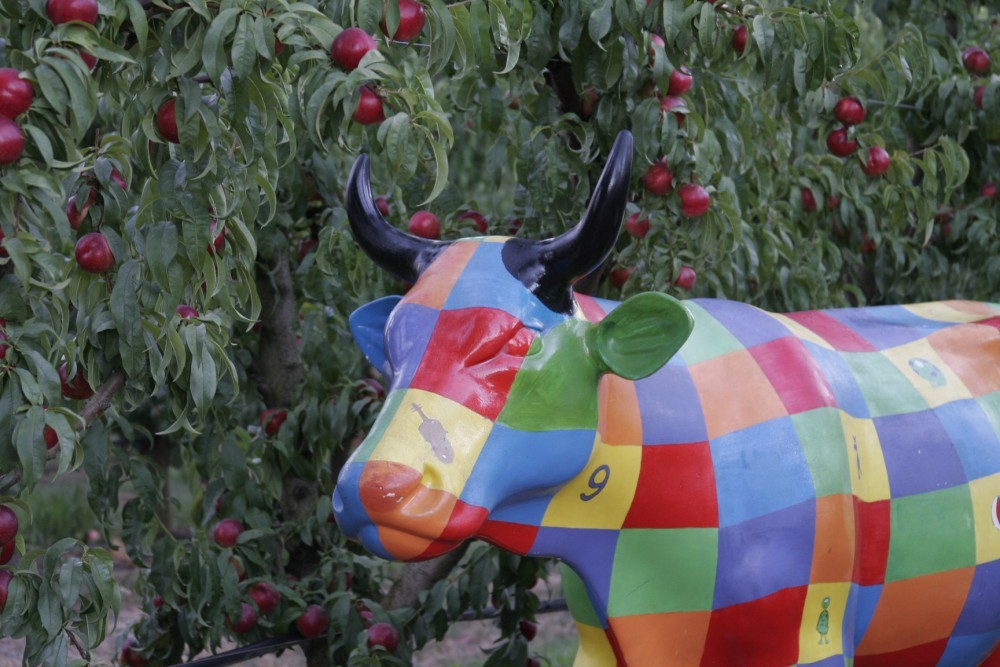 Shepparton & Goulburn Valley Official Visitor Guide - Greater ...